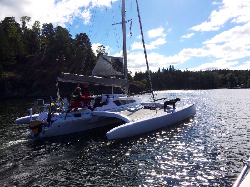 Three hulls, four legs: trimaran sailing with pets - Corsair Marine Blog
